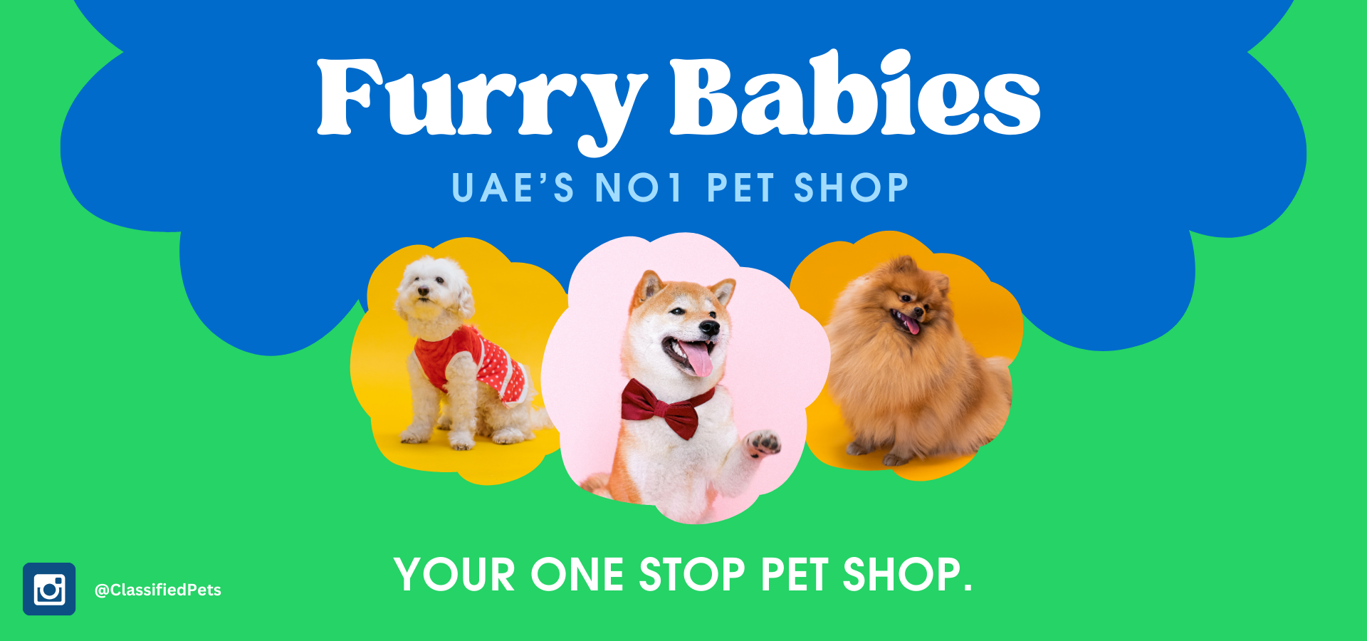 Pet Store in Dubai – Furry Babies Animals Trading